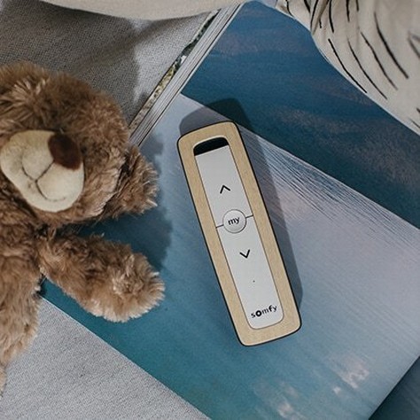Enhance Your Comfort with Remote Controls & Sensors | Somfy